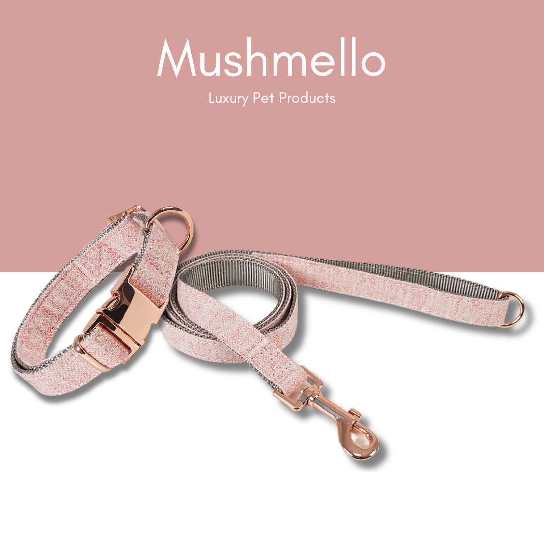 Luxury Twill Collar and Leash Sets – Mushmello