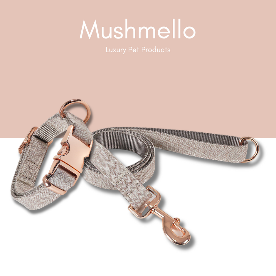 Luxury Twill Collar and Leash Sets – Mushmello