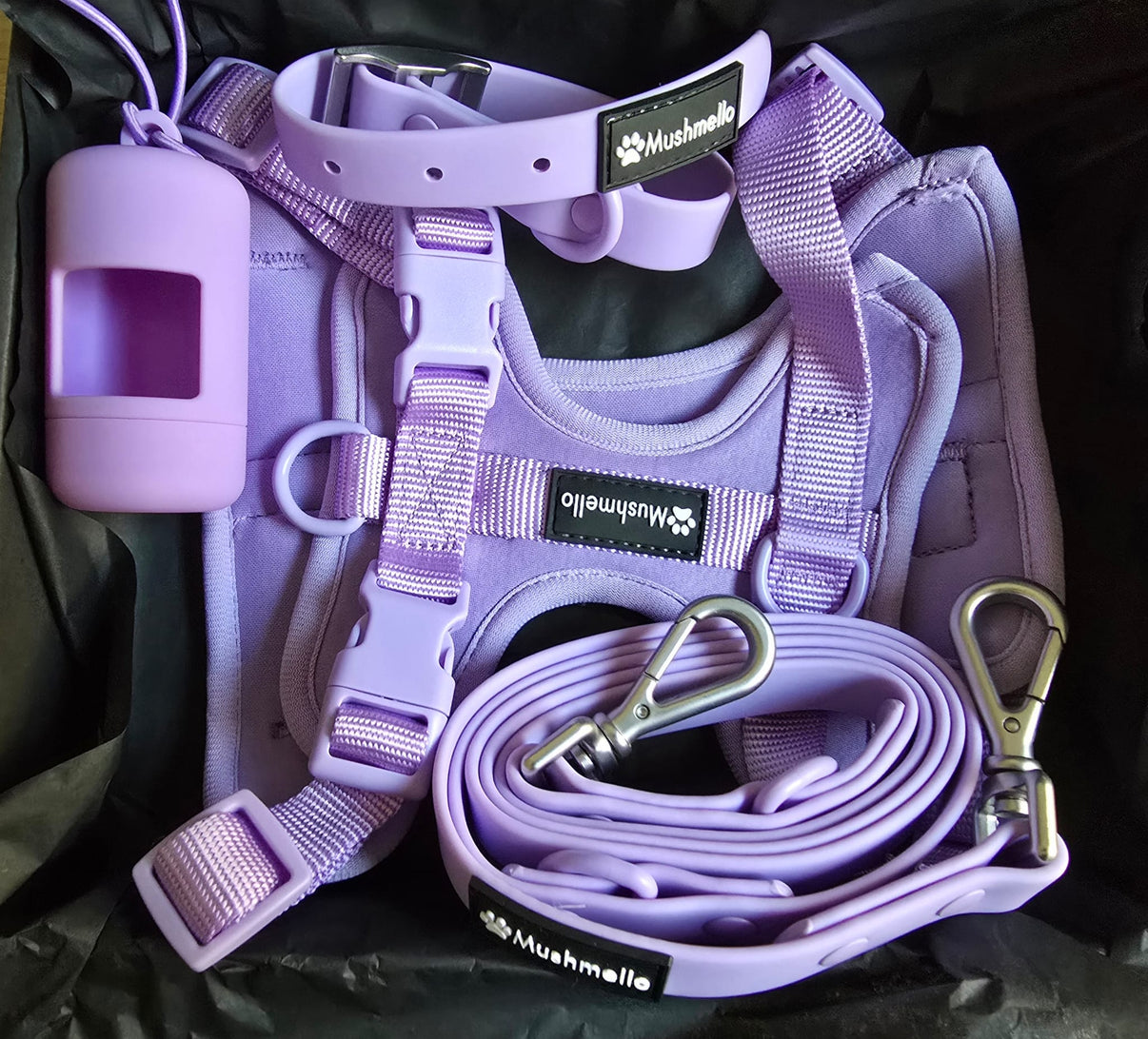 Purple Waterproof PVC-Coated Harness, Leash, Collar Set – Stylish, Dur ...